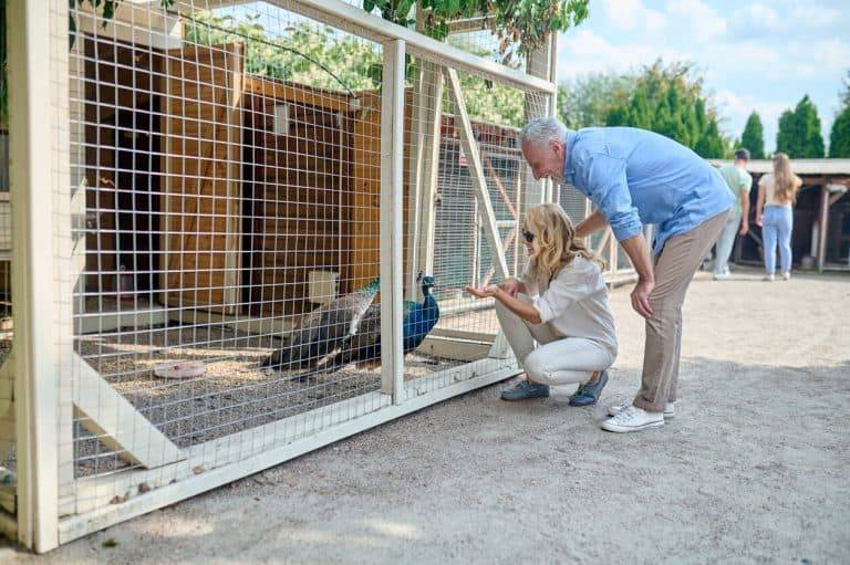 15 Amazingly Fun Outdoor Activities For Seniors to Enjoy With Love