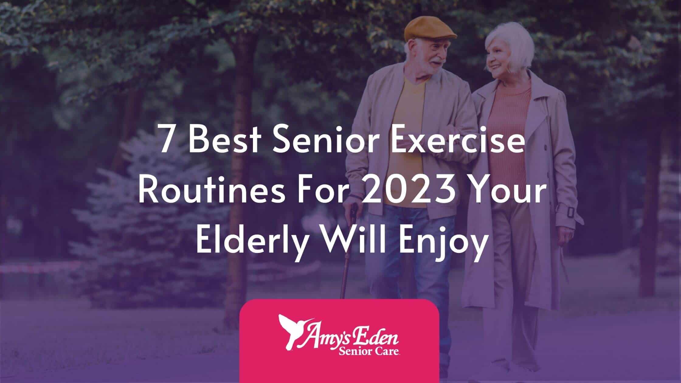 7 Best Senior Exercise Routines For 2023 Your Elderly Will Enjoy