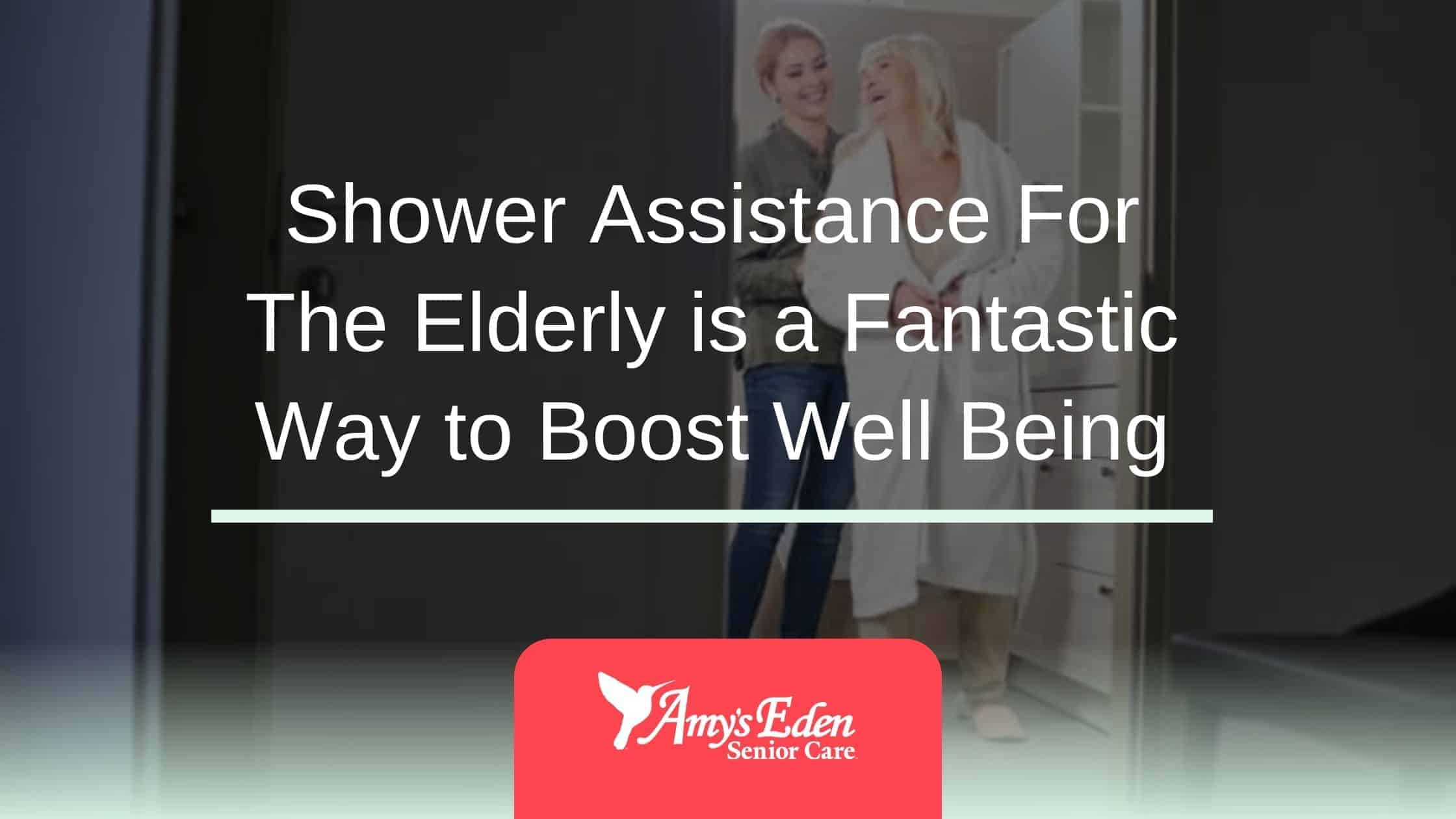 Shower Assistance For The Elderly is a Fantastic Way to Boost Well