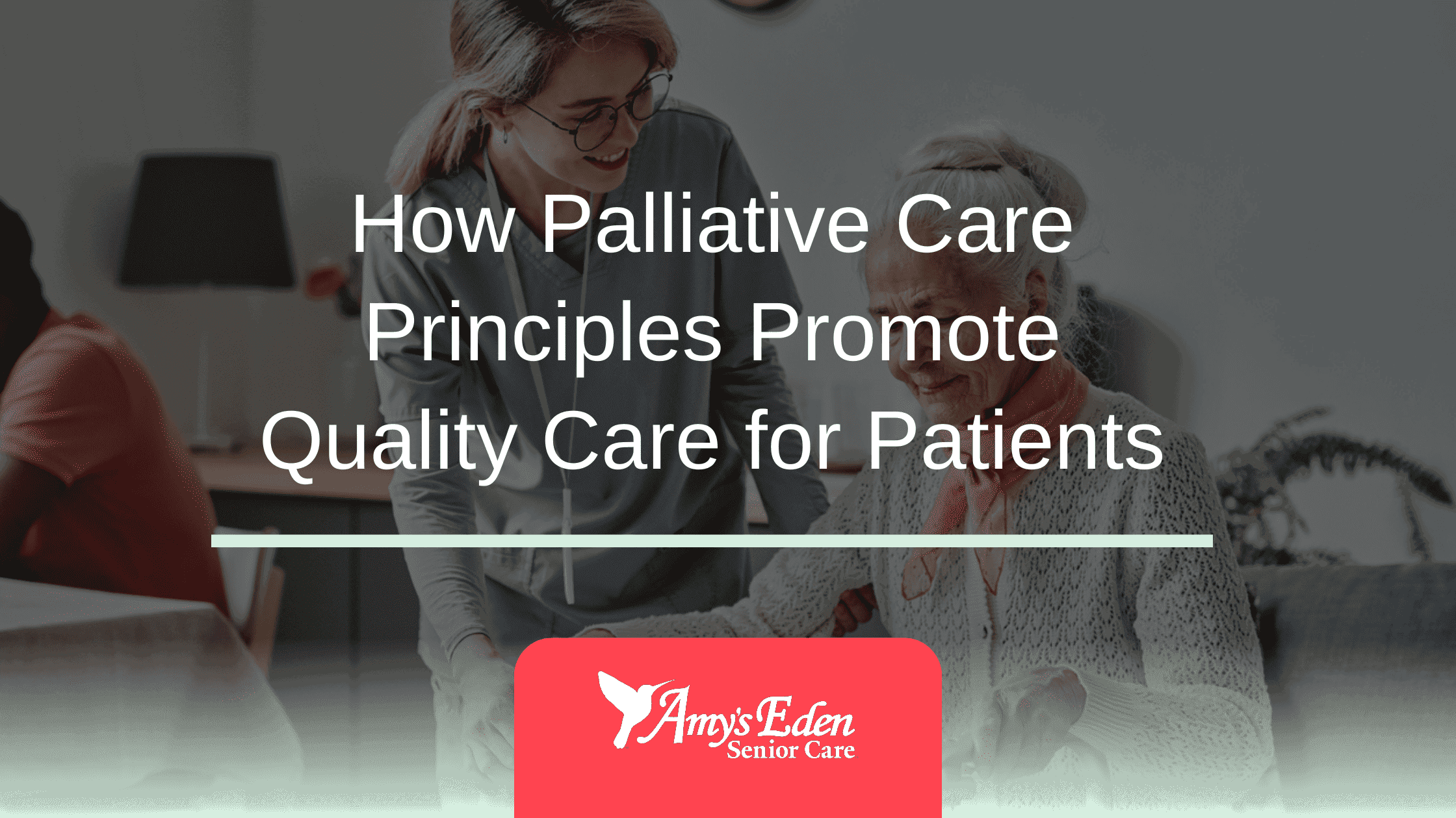 How Palliative Care Principles Promote Quality Care for Patients