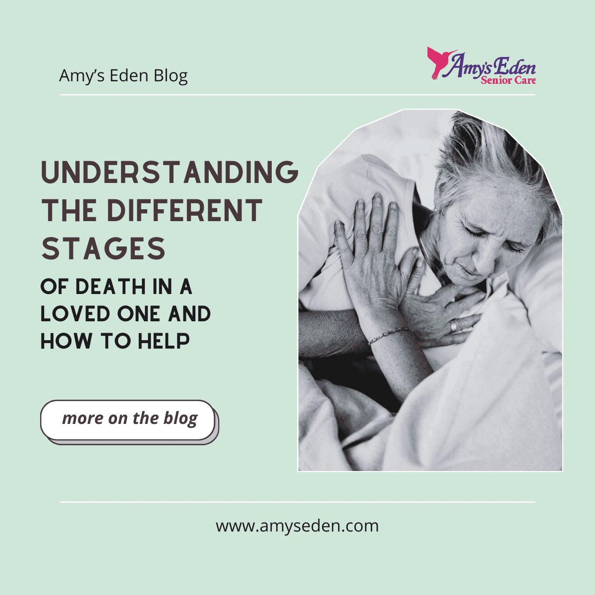 Understanding the Different Stages Of Death In A Loved One And How To Help