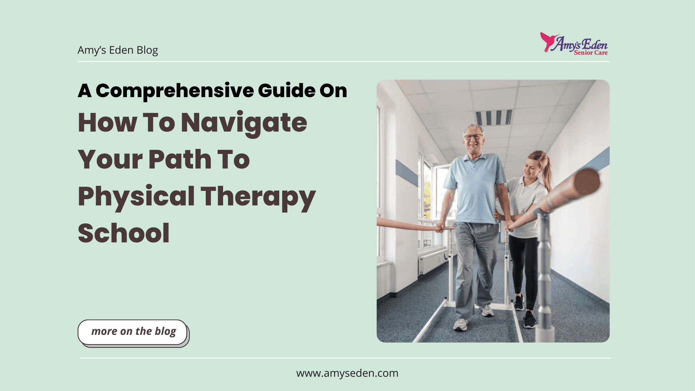 A Comprehensive Guide On How To Navigate Your Path To Physical Therapy ...